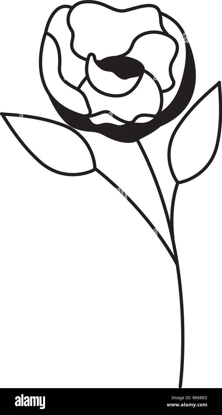 flower stem botanical on white background vector illustration Stock ...