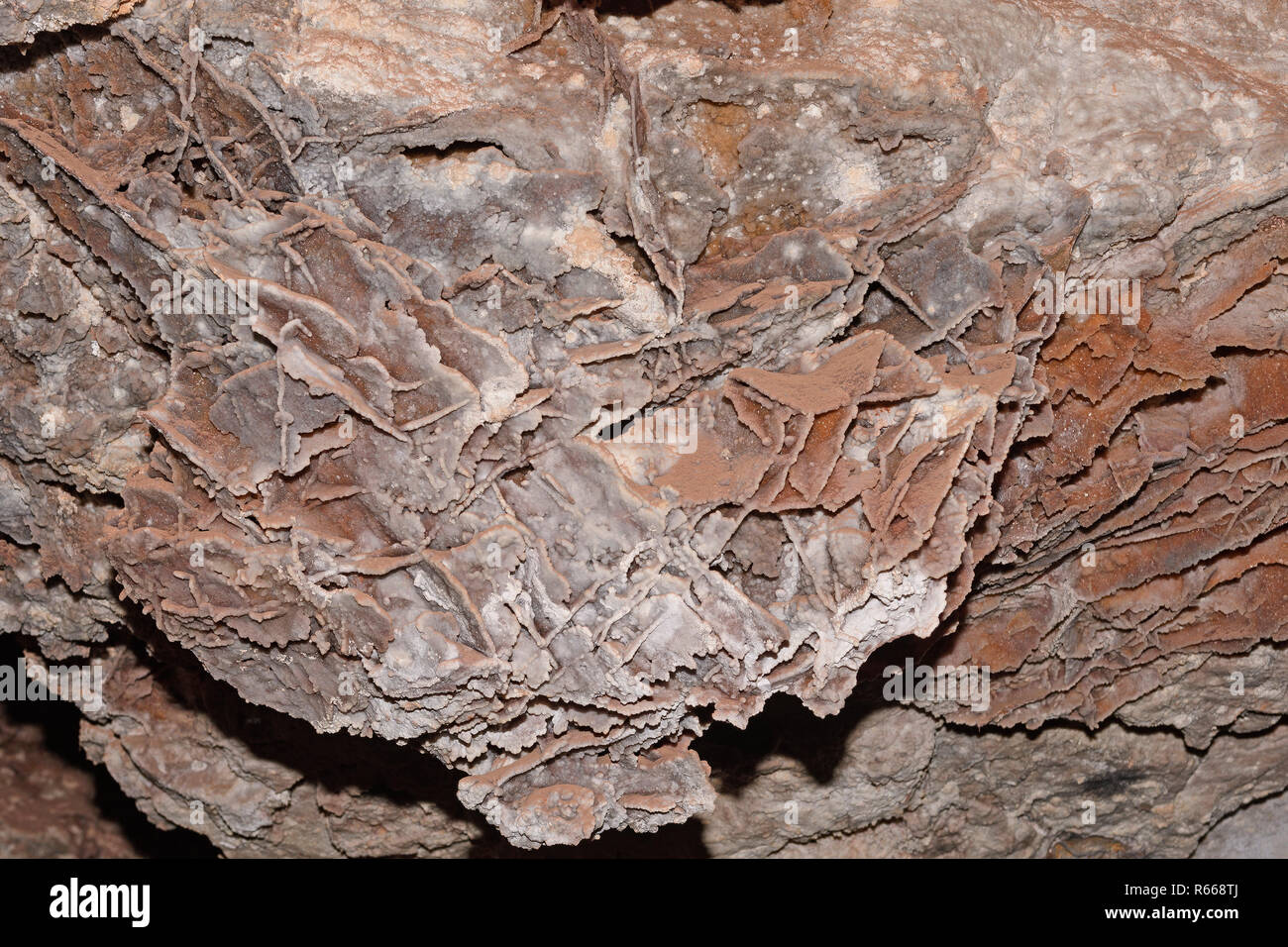 Boxwork formation hi-res stock photography and images - Alamy