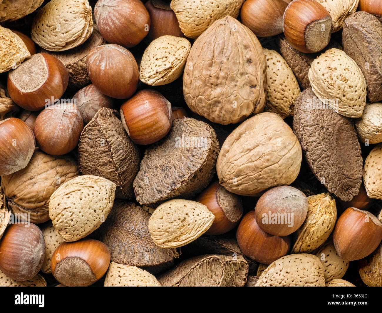 Brazil nuts colour background hi-res stock photography and images - Alamy