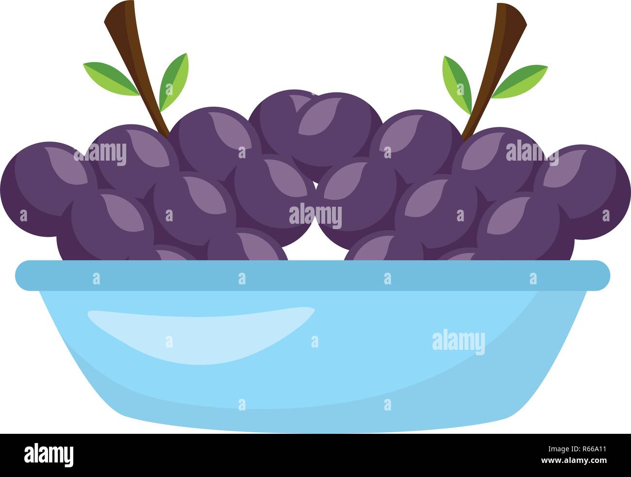 Above view fresh organic Stock Vector Images - Alamy