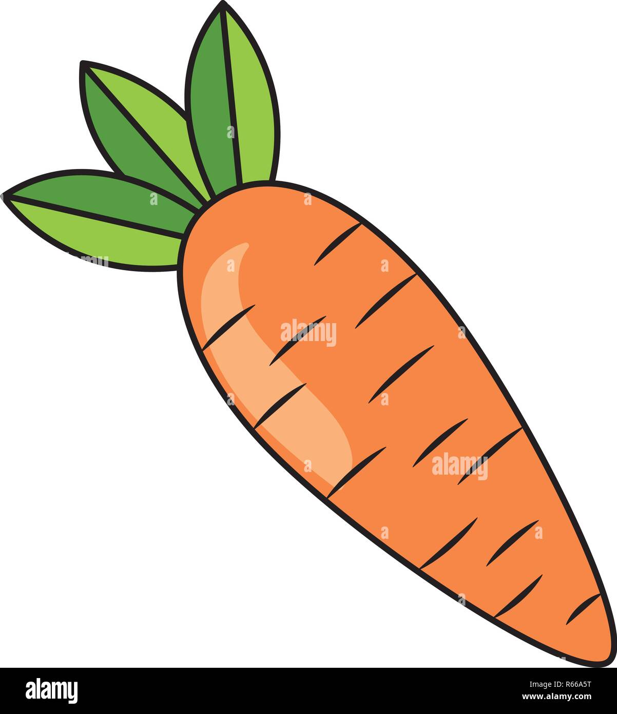 healthy food fresh Stock Vector Image & Art - Alamy