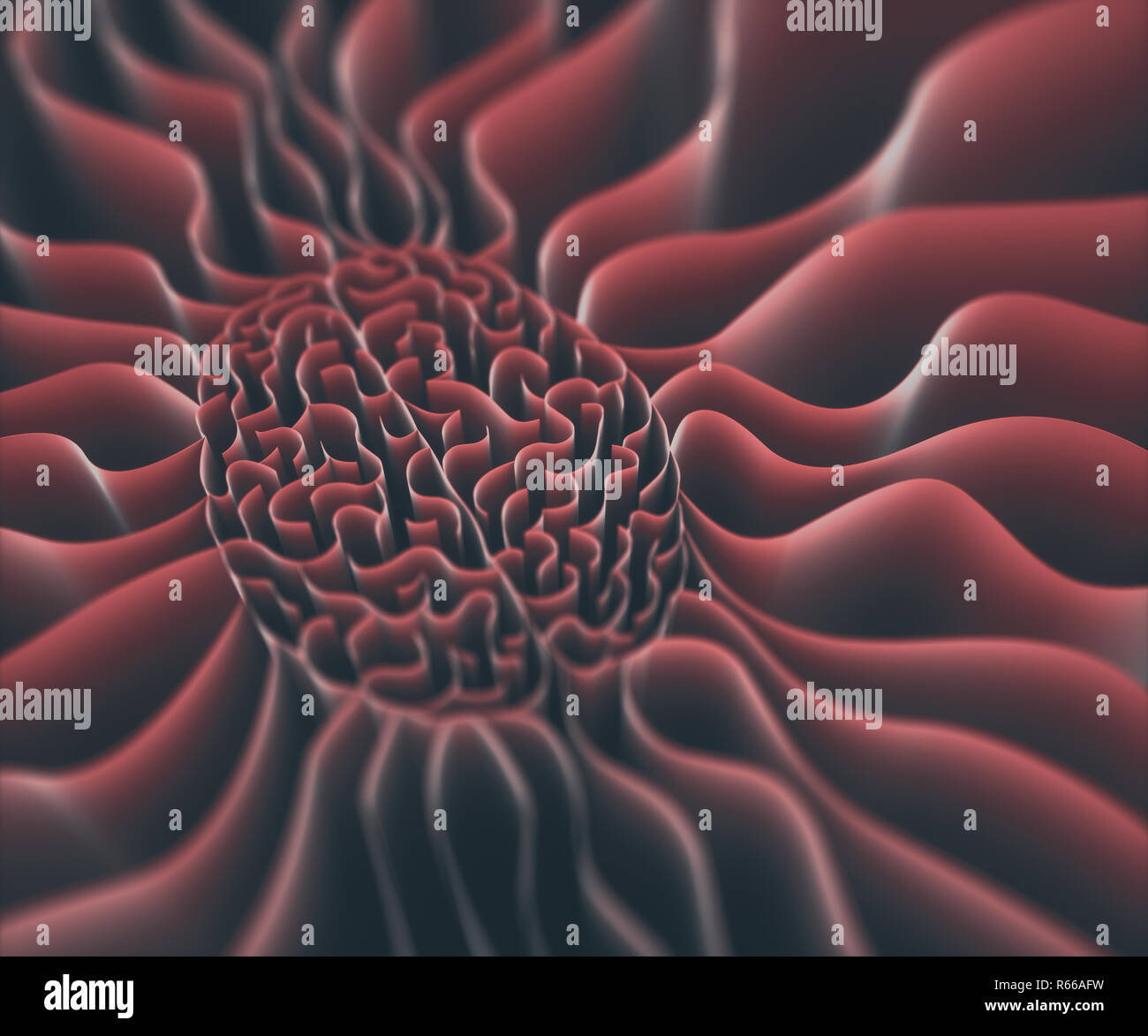 Closed nerve hi-res stock photography and images - Alamy