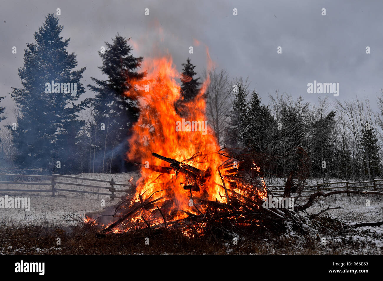 Cleaning up debris after a wind storm Stock Photo - Alamy