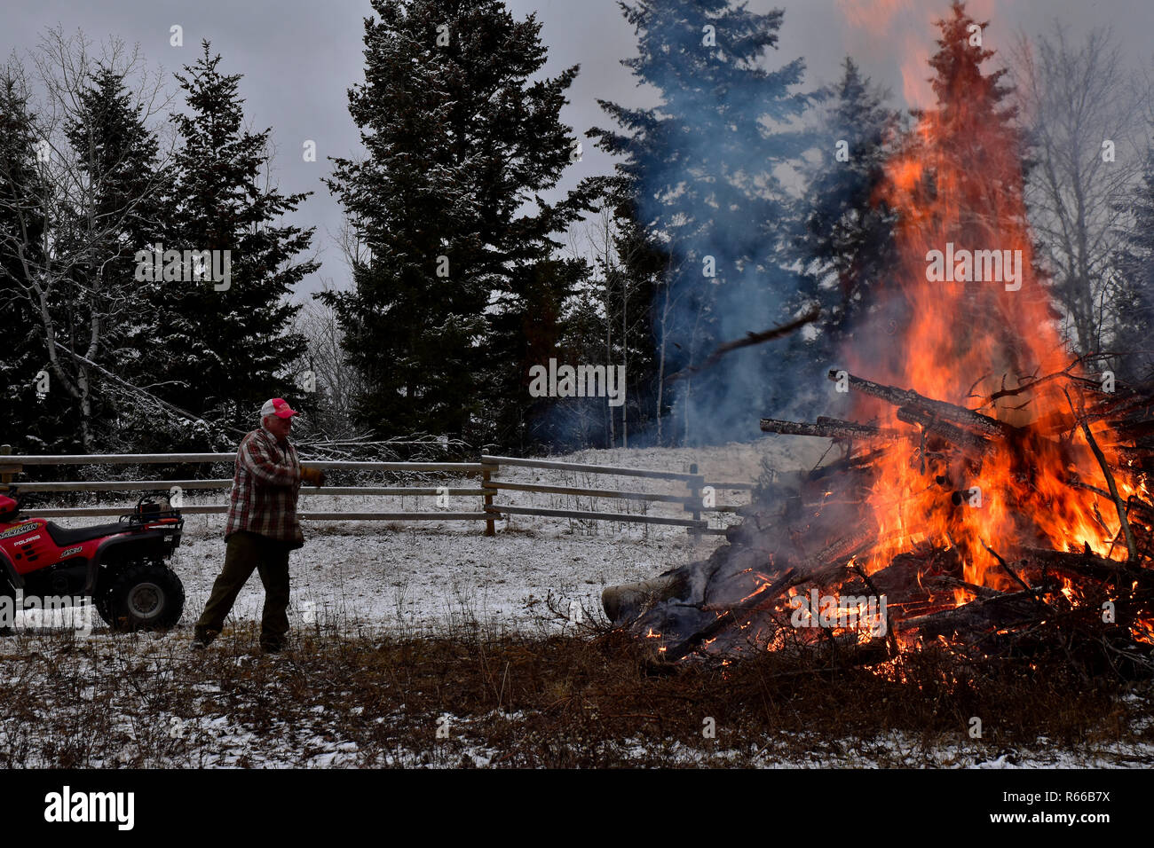 Cleaning up after a storm hi-res stock photography and images - Alamy