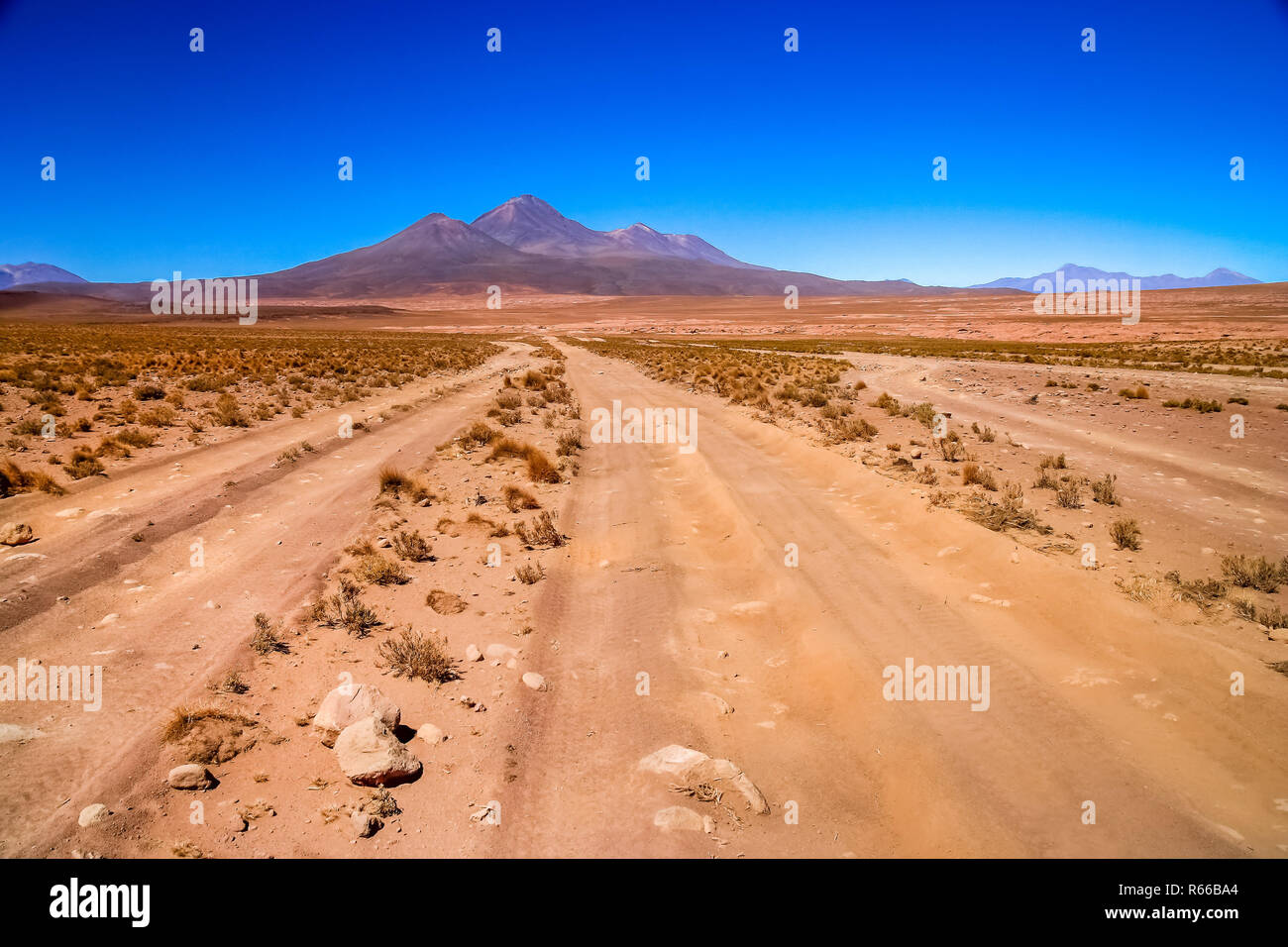 Corrugated road in Altiplano Stock Photo - Alamy