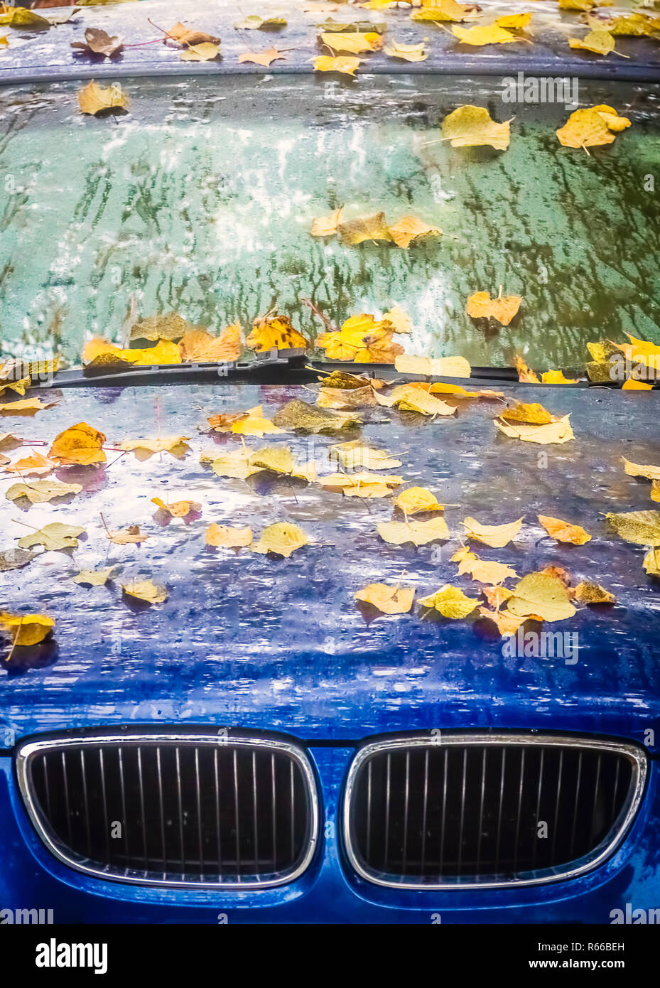 Pavement covered in rain hi-res stock photography and images - Alamy