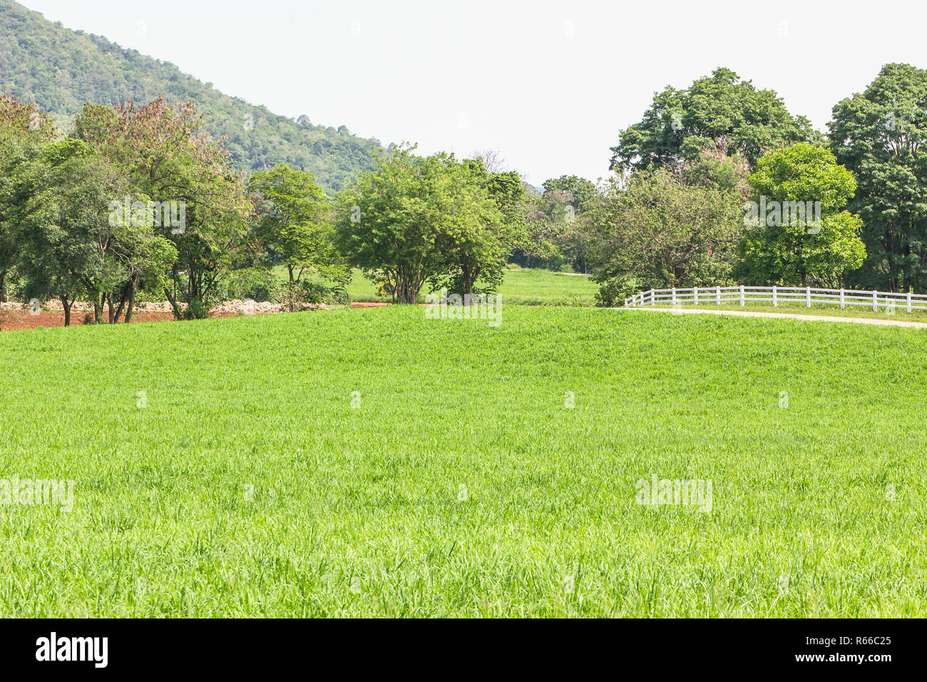 Grass mountain segment hi-res stock photography and images - Alamy