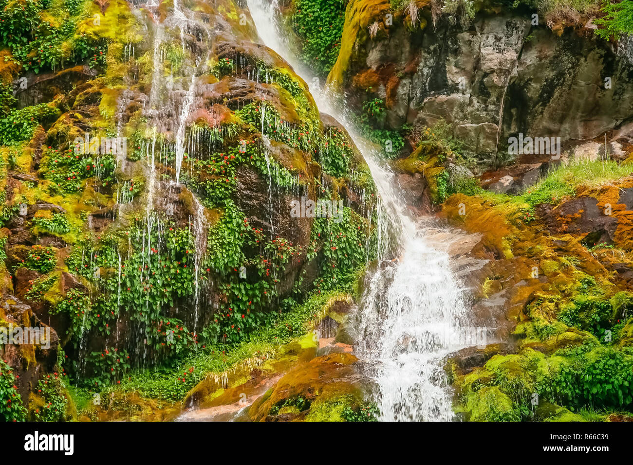 Beautiful waterfall in patagonia argentina hi-res stock photography and ...