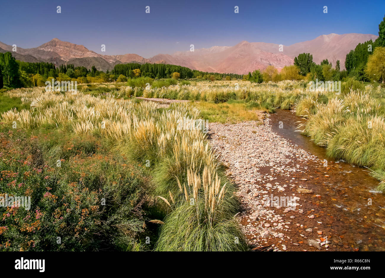 Uspallata river hi-res stock photography and images - Alamy