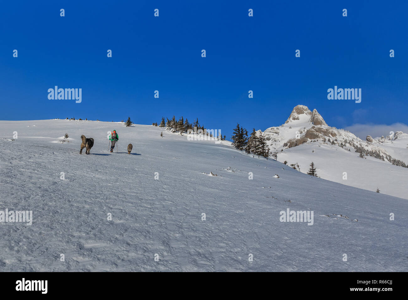 climbing on mountain in winter Stock Photo - Alamy