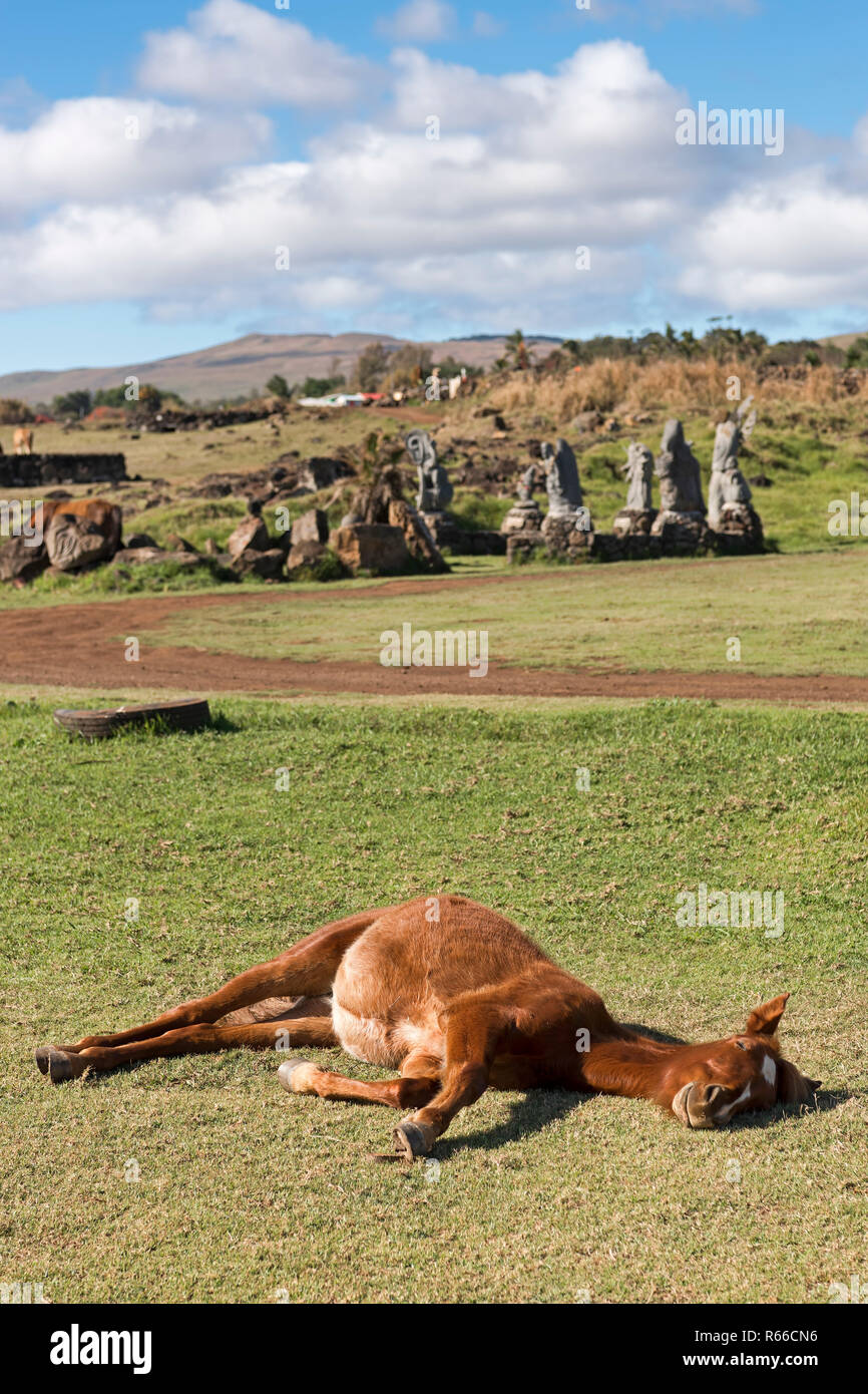 chile easter island 25052 Stock Photo - Alamy