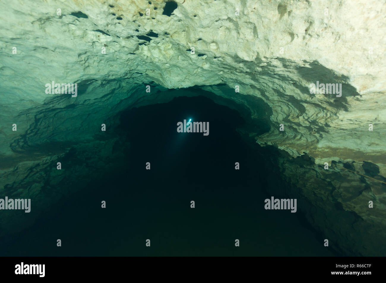 divers underwater caves diving Florida United States of America Stock ...