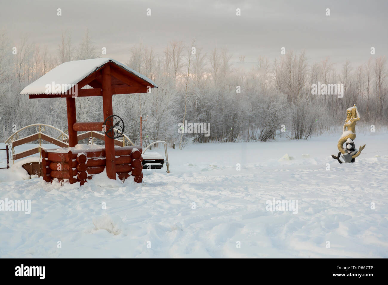 Plain trees hi-res stock photography and images - Alamy