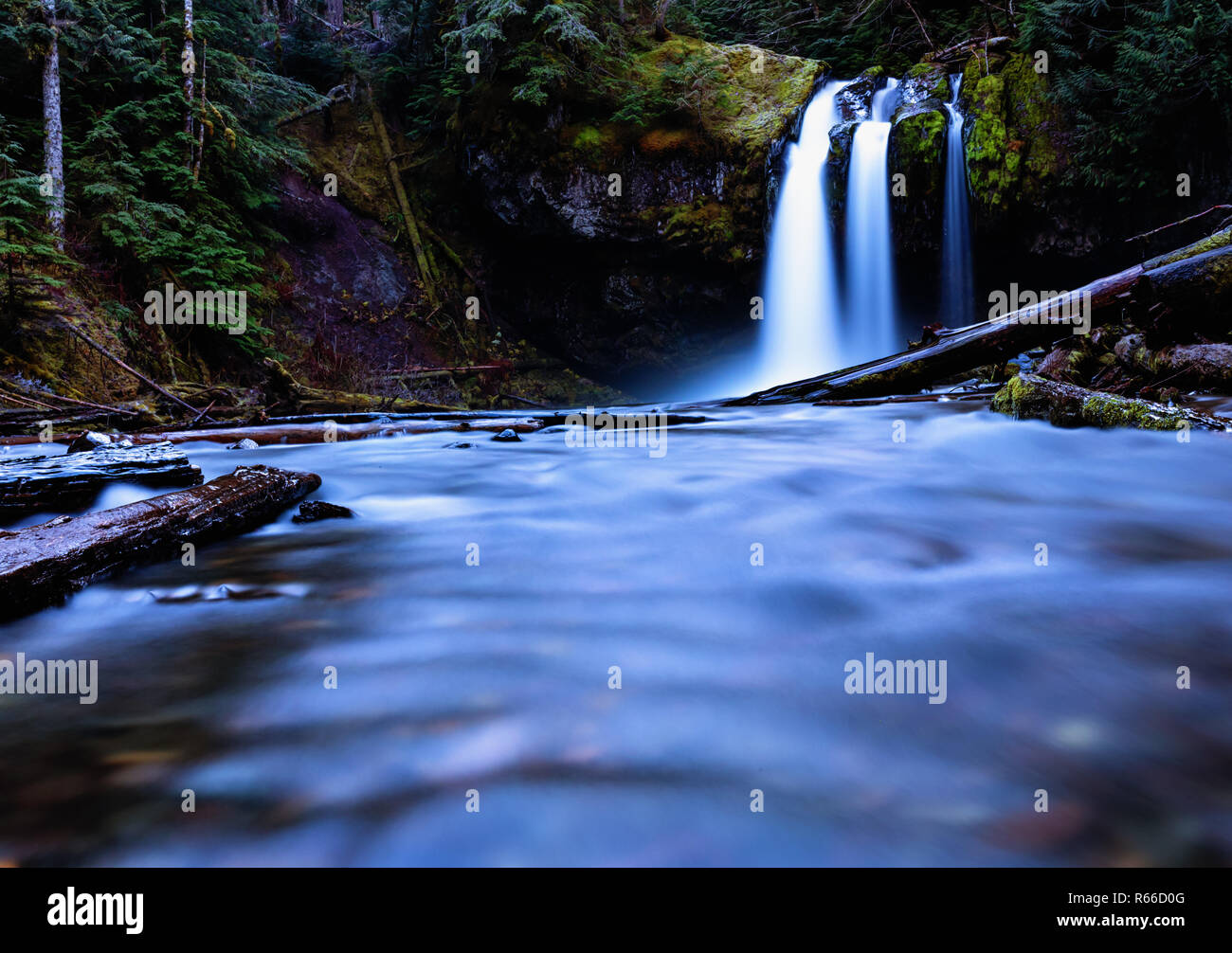 Creak hi-res stock photography and images - Alamy