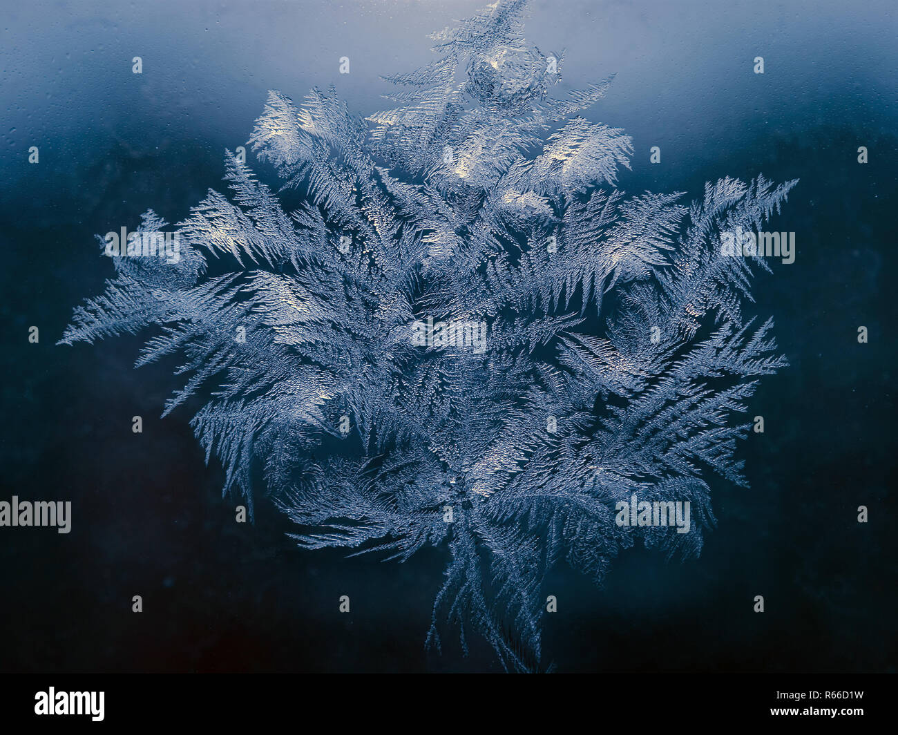 Ice patterns on a window hi-res stock photography and images - Alamy