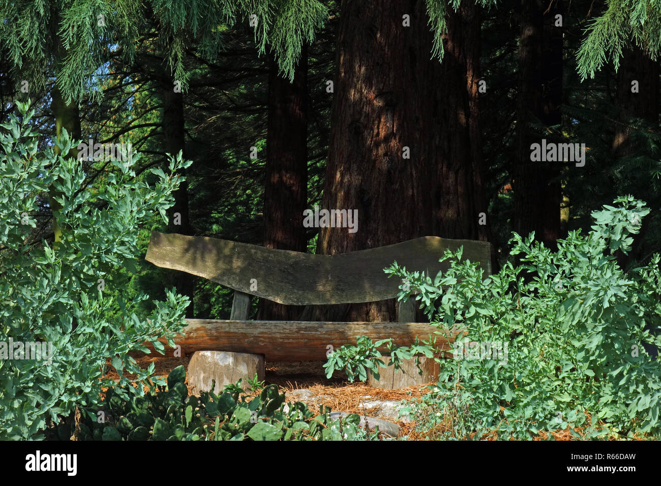 idyllic seating under an old tree Stock Photo - Alamy