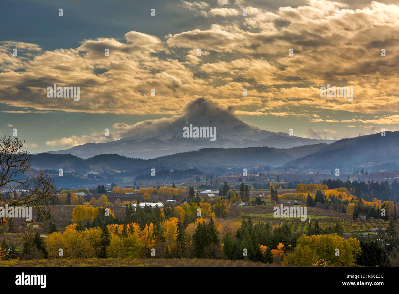Mount Hood Over Farmland in Hood River in Fall Stock Photo - Alamy