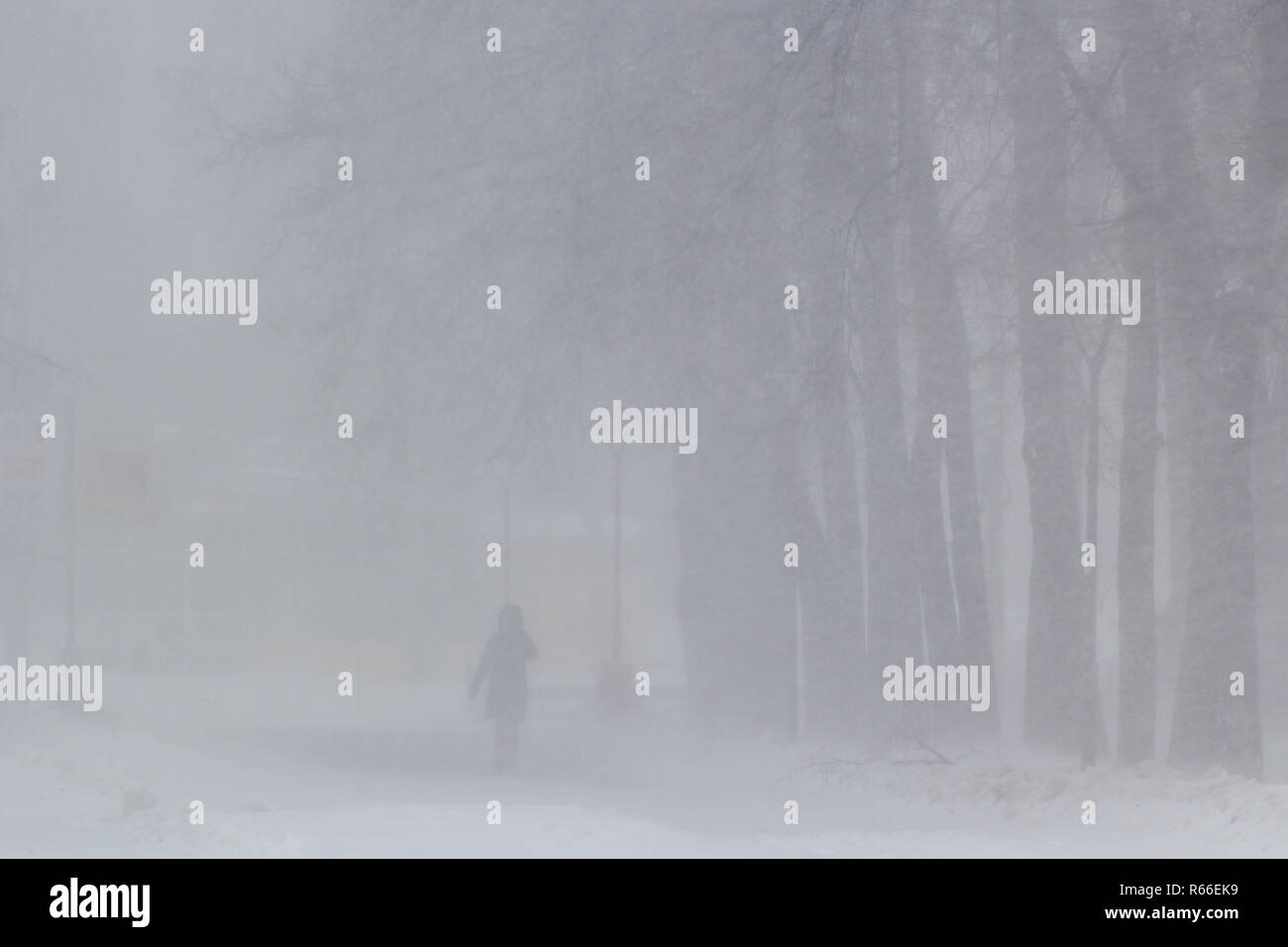 Blizzard Russia High Resolution Stock Photography and Images - Alamy