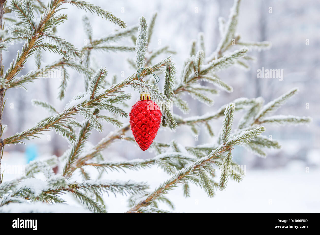 Eve cone hi-res stock photography and images - Alamy