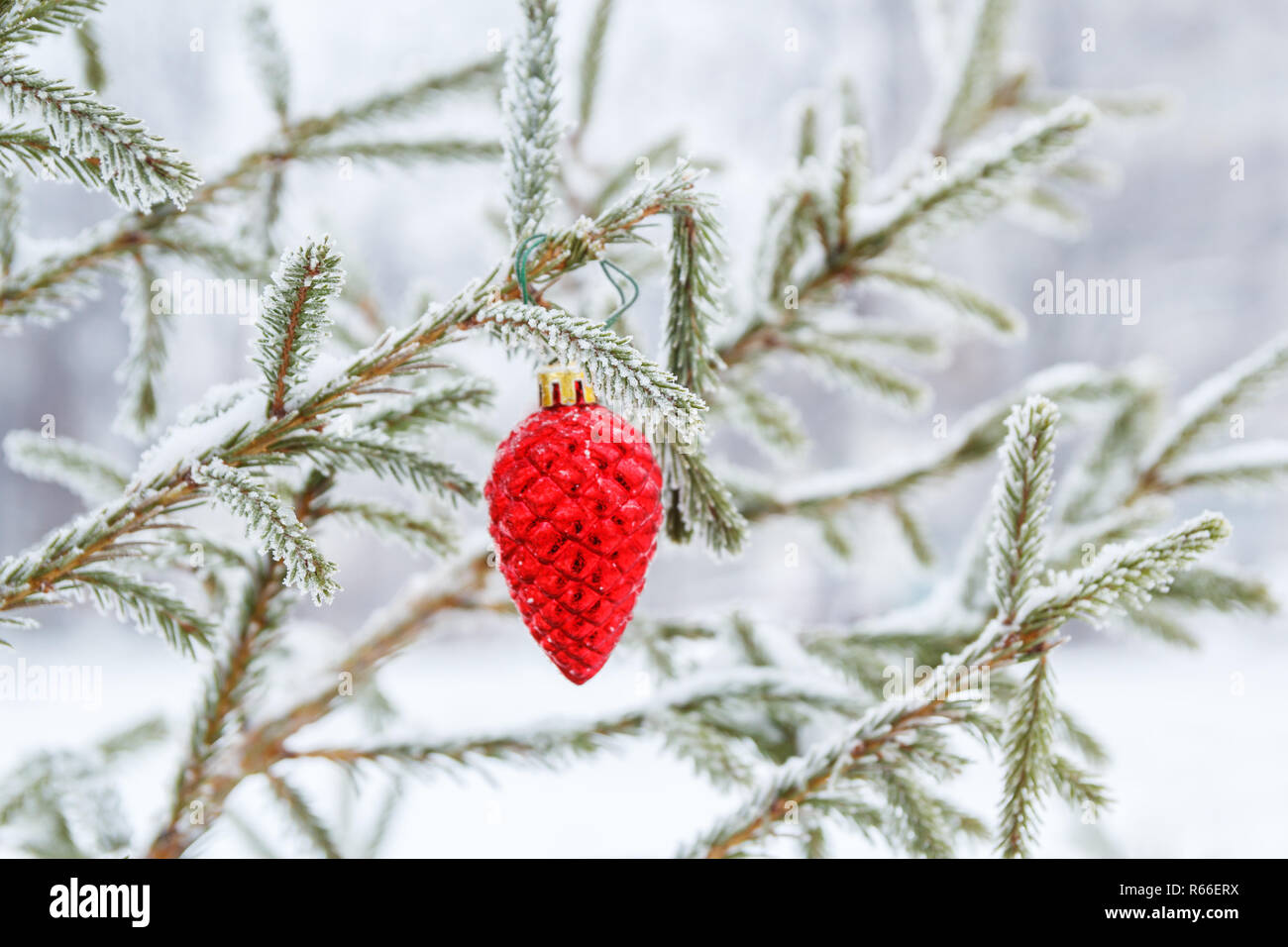 Eve cone hi-res stock photography and images - Alamy