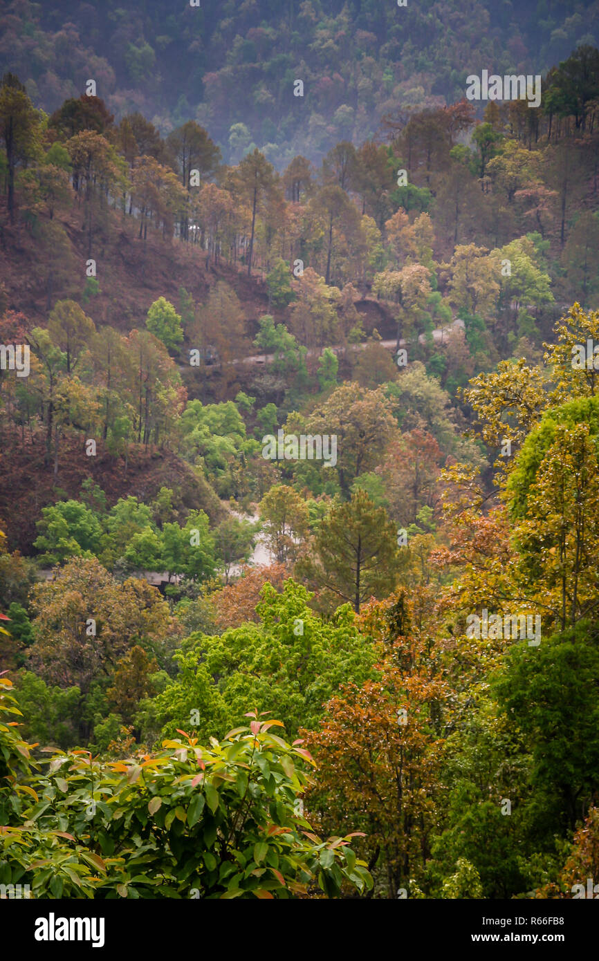 Winding mountain road Stock Photo - Alamy