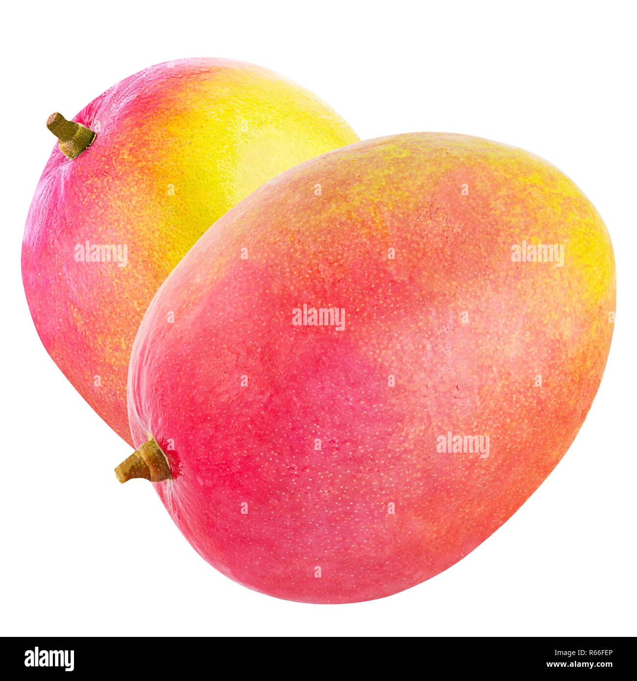 Two whole mango fruit isolated on white Stock Photo - Alamy