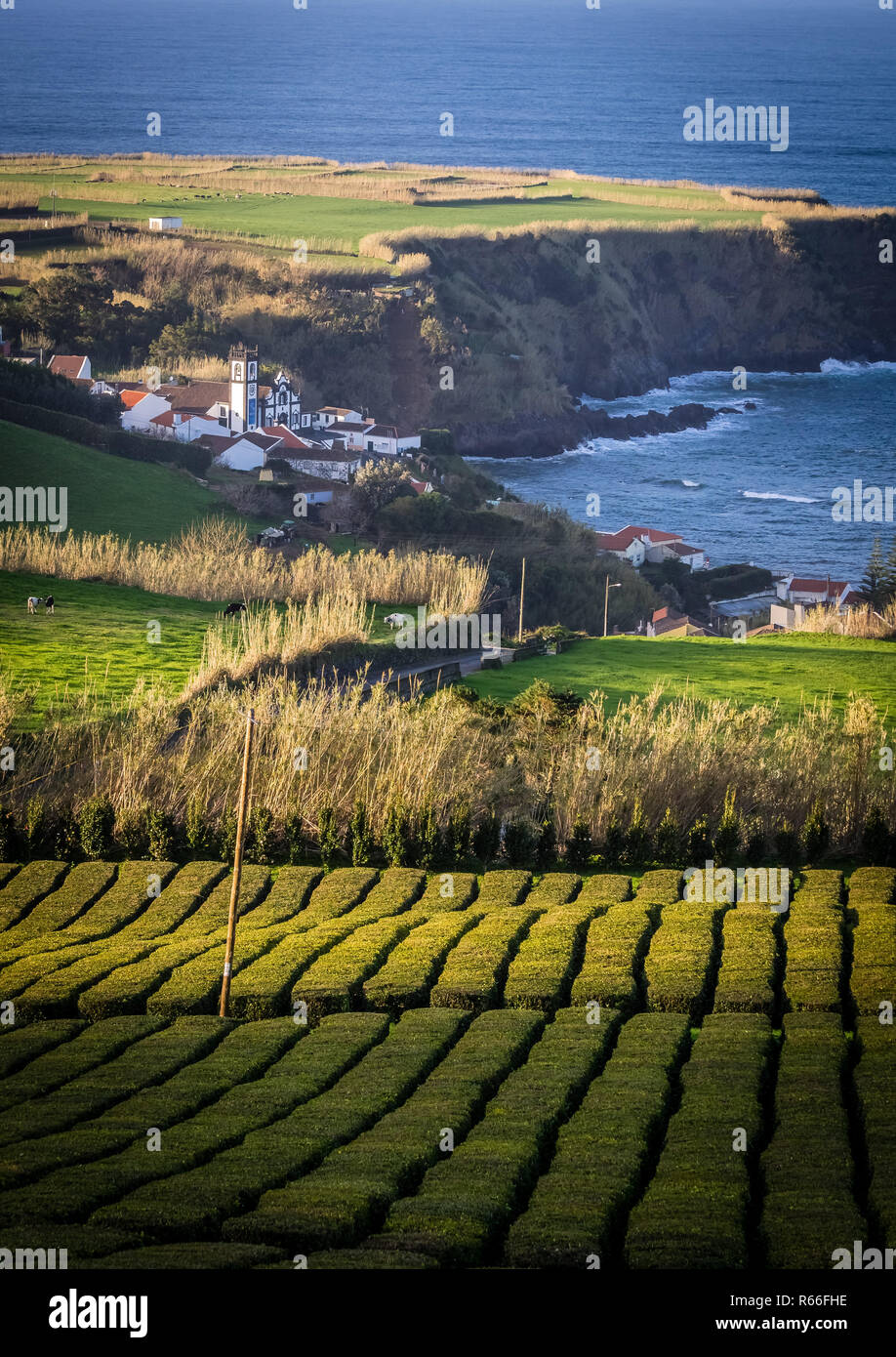 Small settlement on the Azorean Coast Stock Photo - Alamy