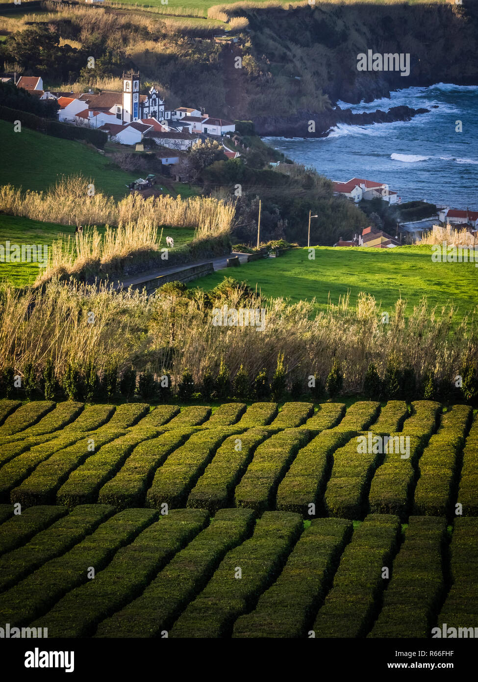 Small settlement on the Azorean Coast Stock Photo - Alamy