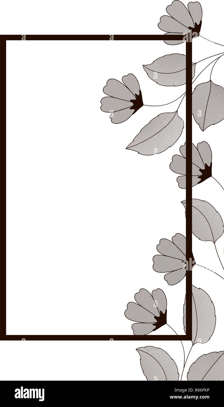 flowers with leaves and rectangle isolated icon Stock Vector Image ...