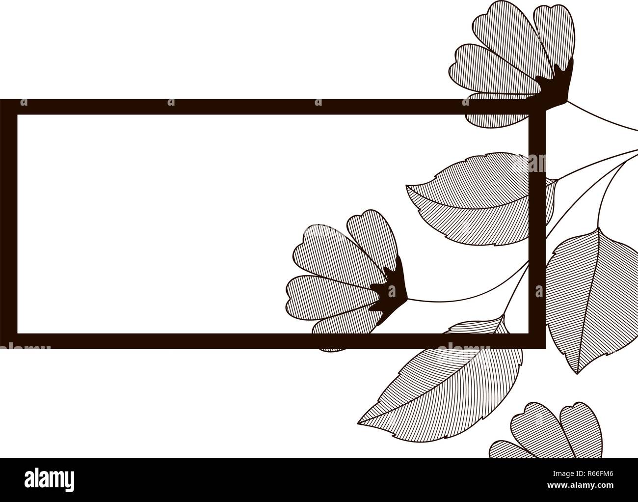 flowers with leaves and rectangle isolated icon Stock Vector Image ...