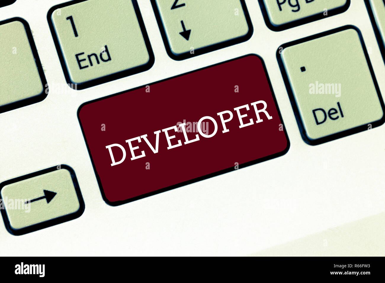 Programming software web concept programmer develops application hi-res ...