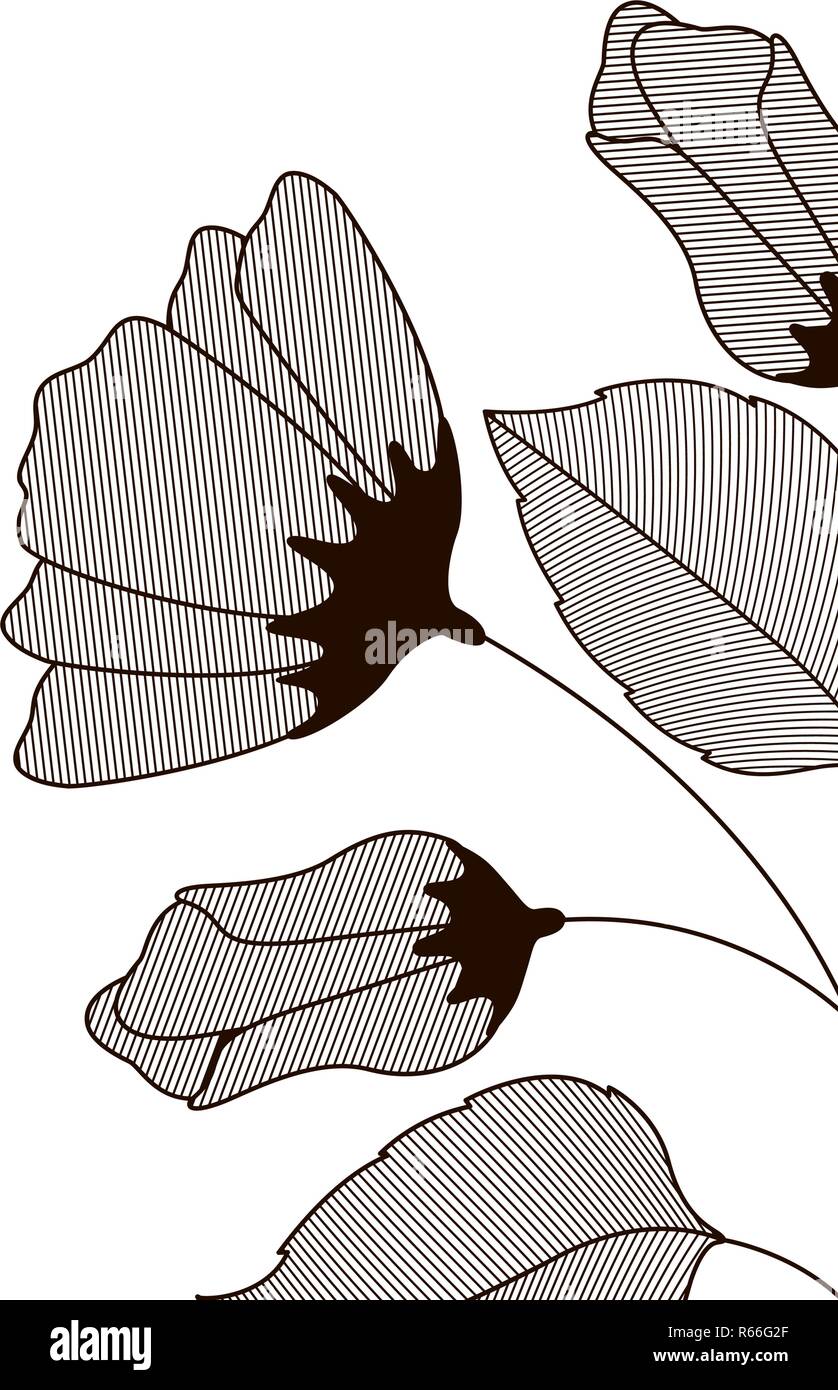 flowers with branches and leaves icon Stock Vector Image & Art - Alamy