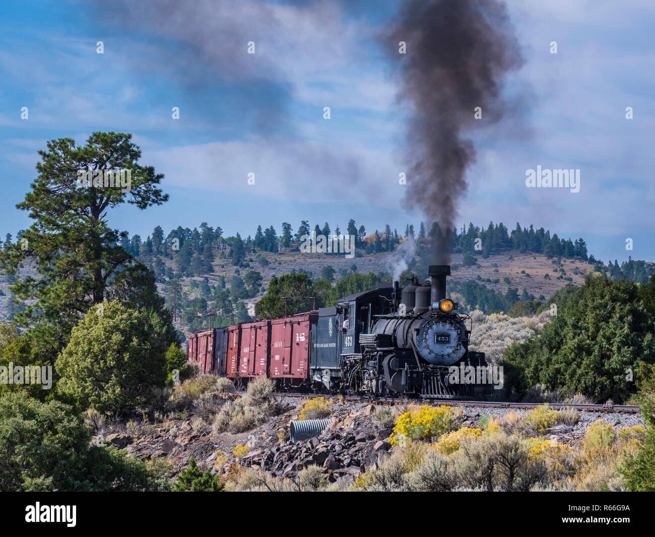 Locomotive 453 steam-engine freight train at the Whiplash upper loop ...