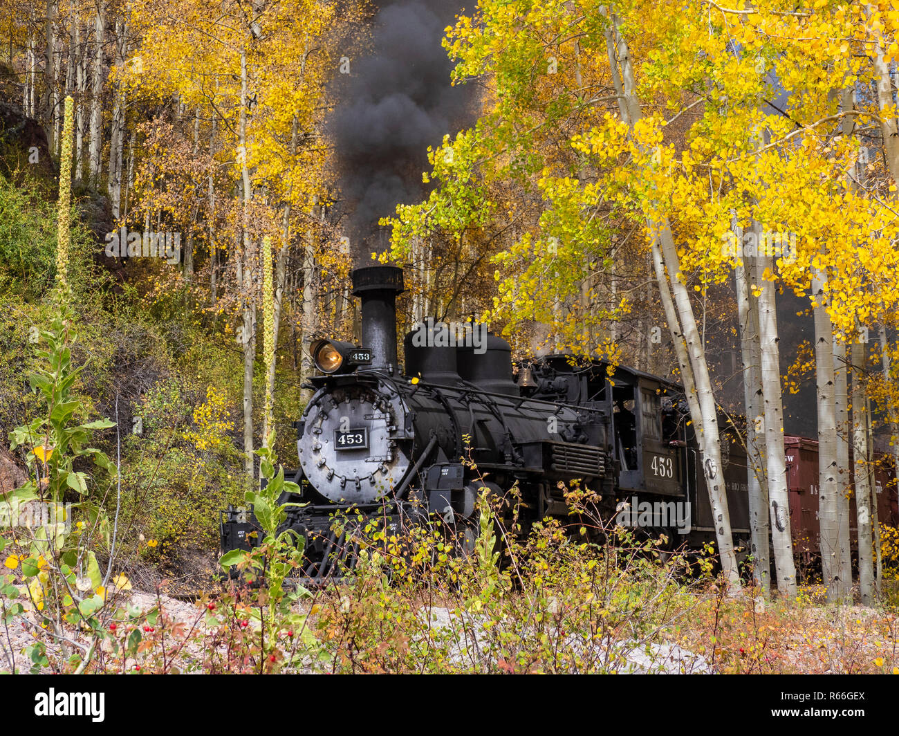 Locomotive 453 steam-engine freight train at Toltec Creek, Cumbres ...