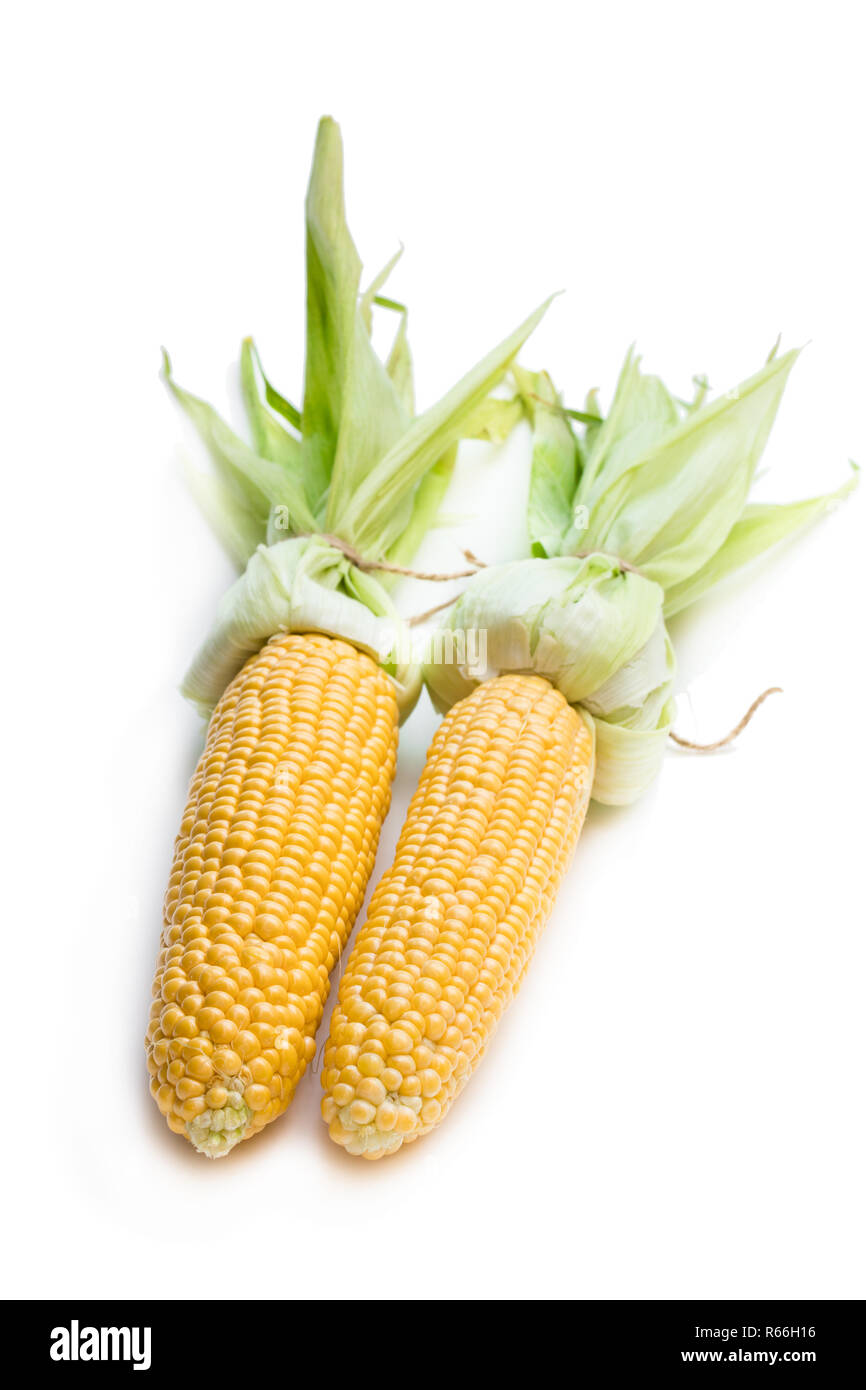 Fresh corn on the cob isolated on white Stock Photo - Alamy