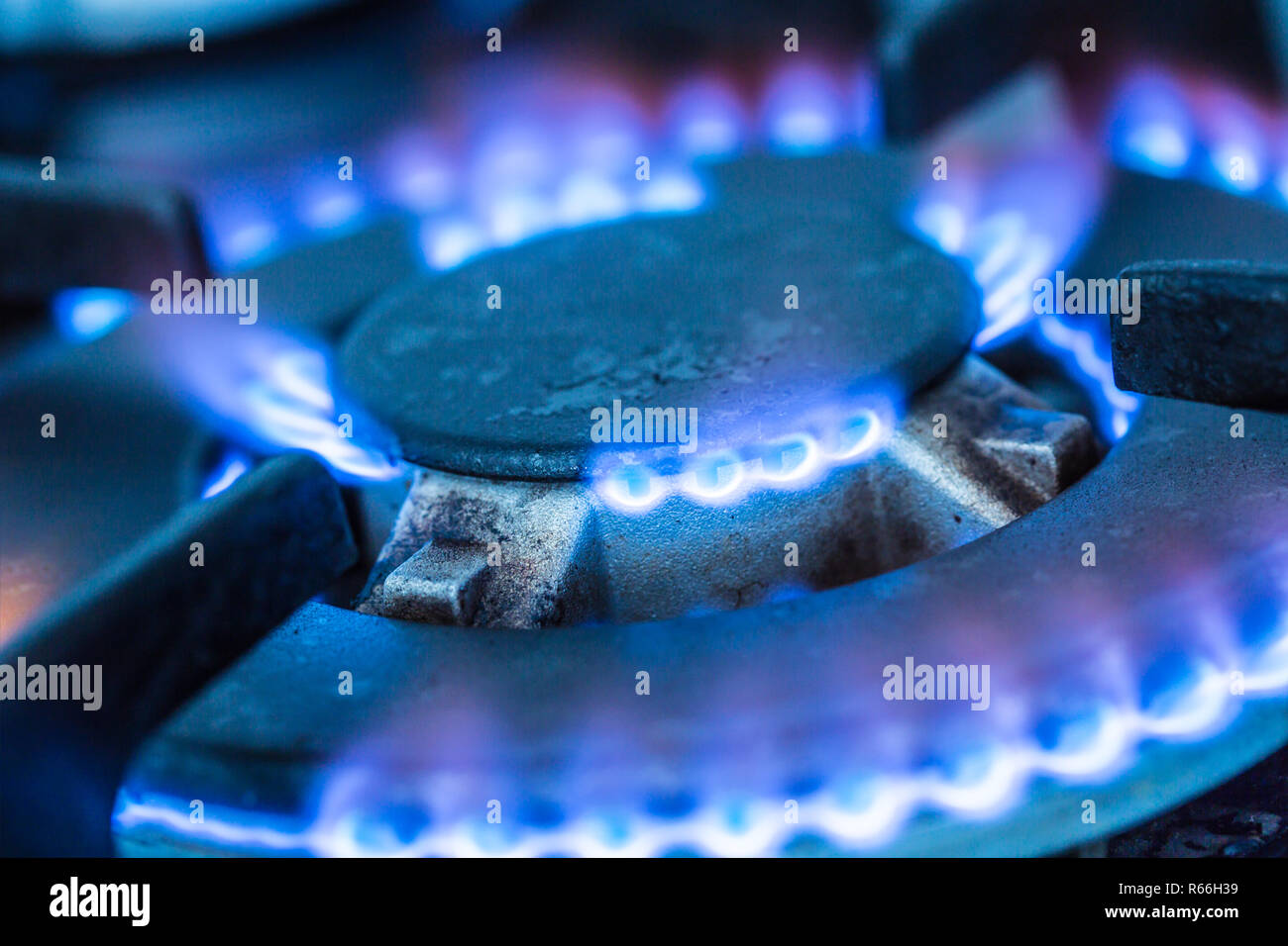 Close-up kitchen stove cook with blue flames burning Stock Photo - Alamy