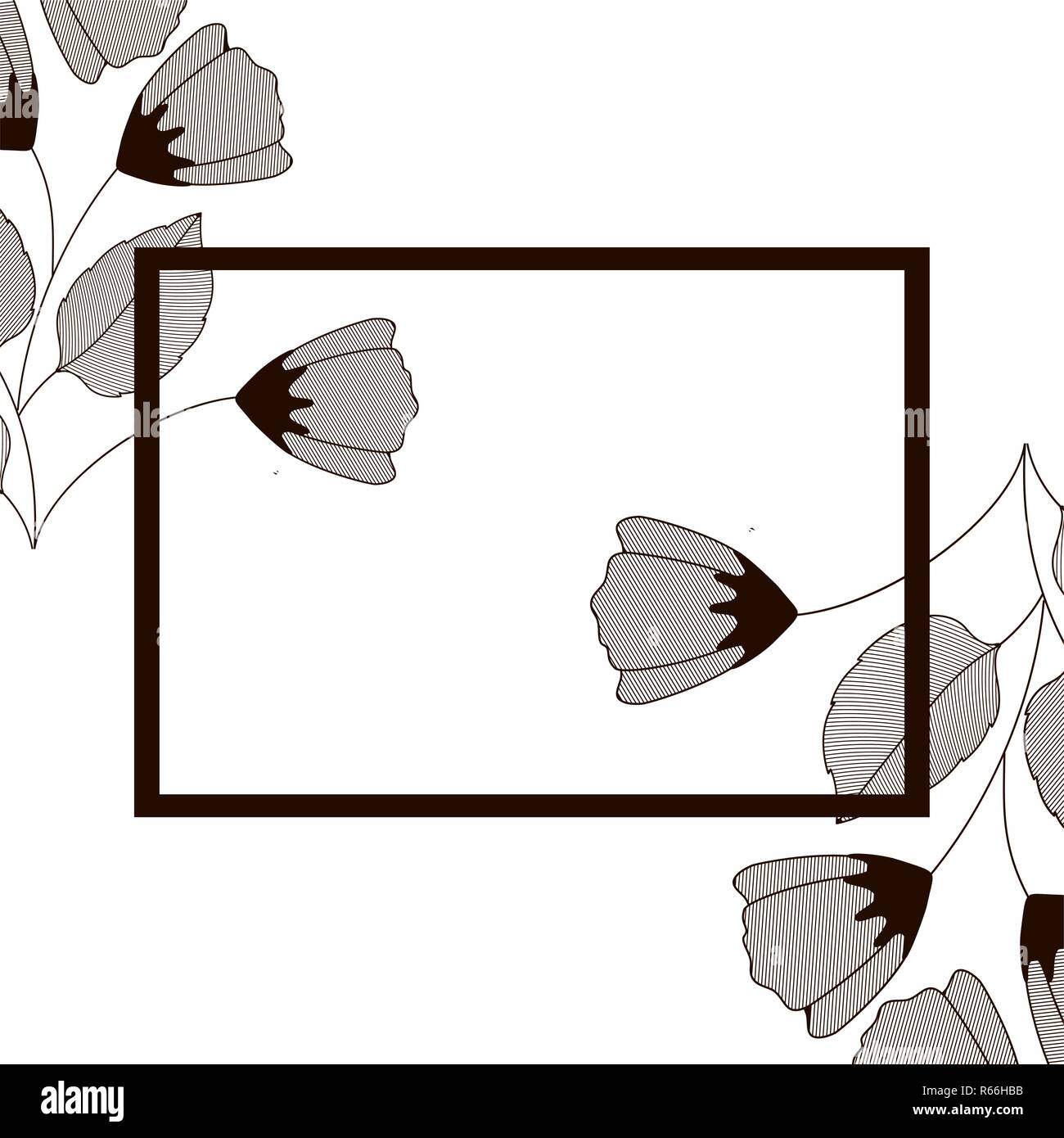 flowers with leaves and rectangle isolated icon Stock Vector Image ...