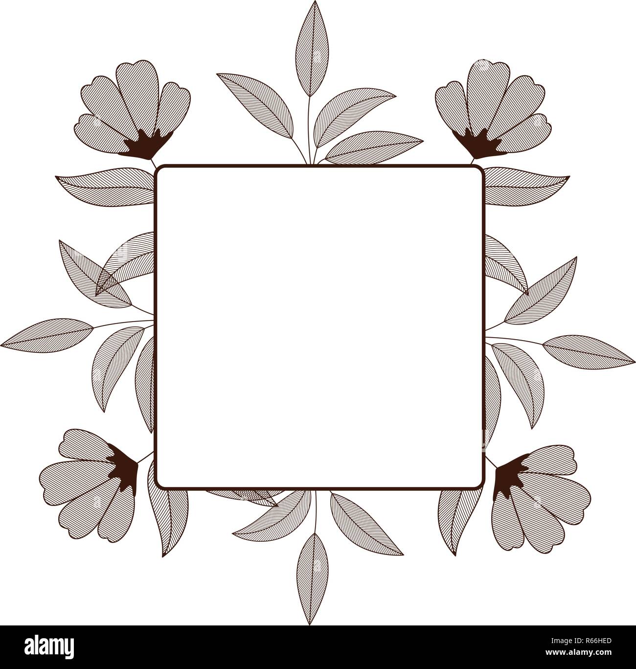 square shape with flowers isolated icon Stock Vector Image & Art - Alamy