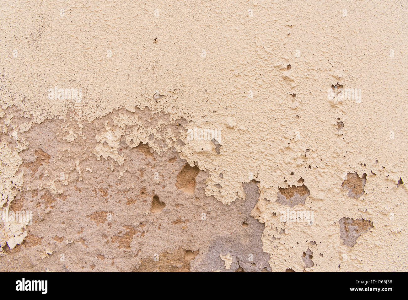 Cream plaster hi-res stock photography and images - Alamy