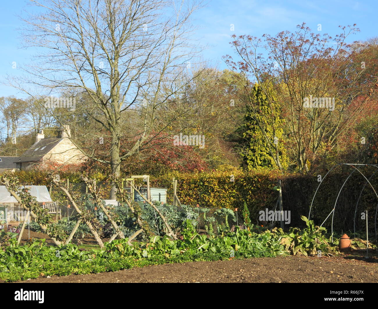 Barnsdale gardens hi-res stock photography and images - Alamy