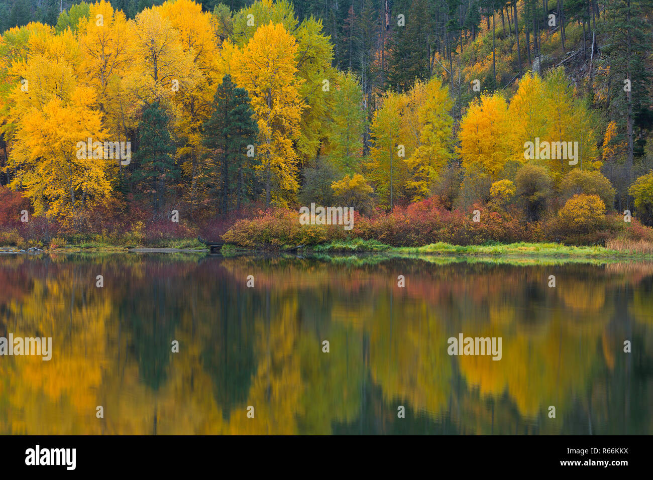 Swiftwater High Resolution Stock Photography and Images - Alamy