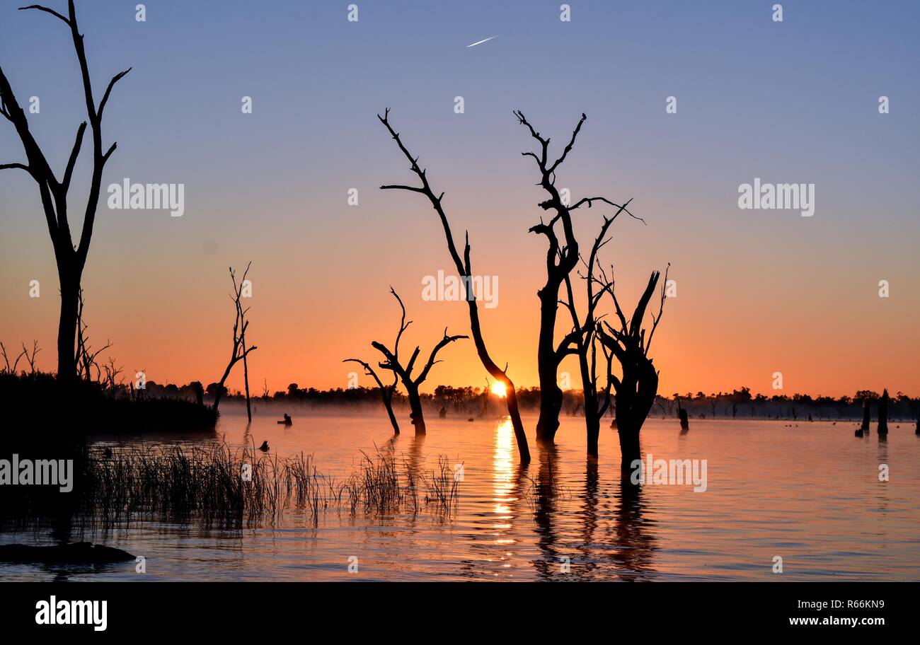 Mulwala australia hi-res stock photography and images - Alamy