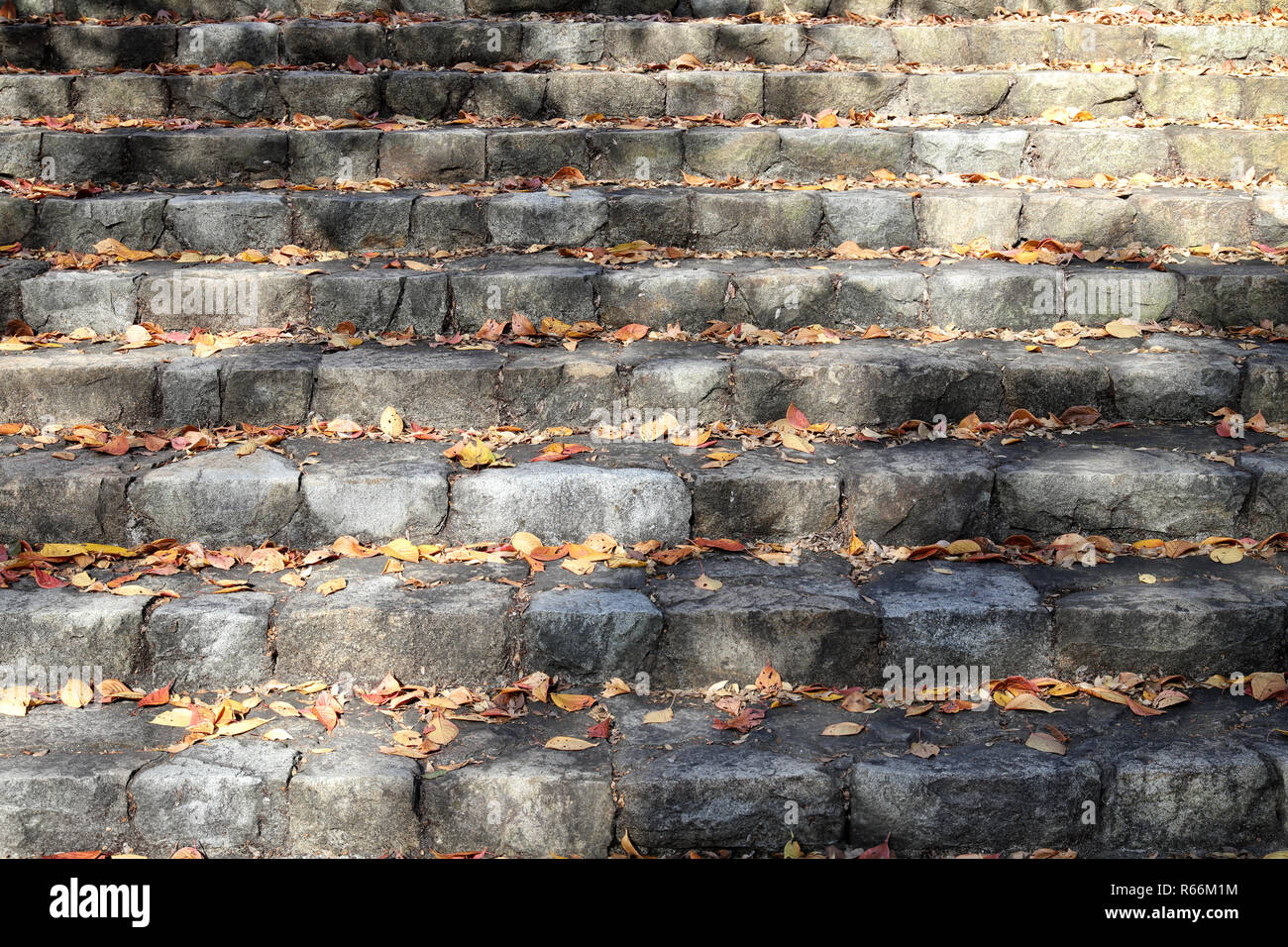 old stone stair path through fall dry leaves Stock Photo - Alamy