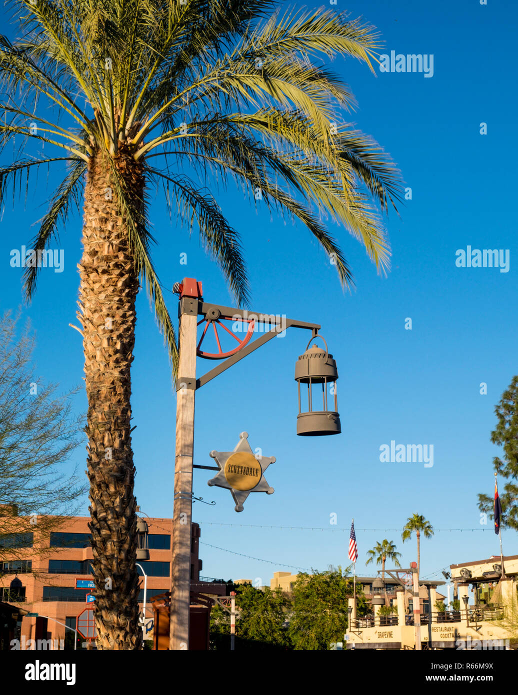 Palm tree and lamp, Old Town Scottsdale, Scottsdale, Phoenix, Arizona ...