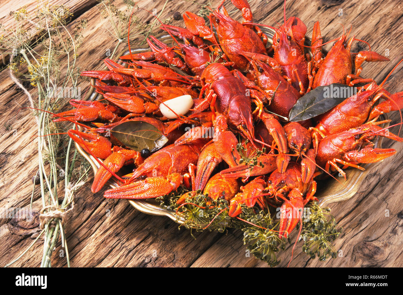 Crayfish eats fish hi-res stock photography and images - Alamy