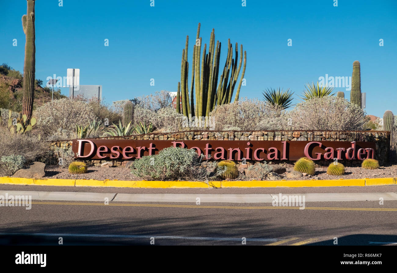 Desert Botanical Garden, Phoenix, Arizona, USA Stock Photo - Alamy Desert Botanical Garden, Phoenix, Arizona, USA Stock Photo - Alamy