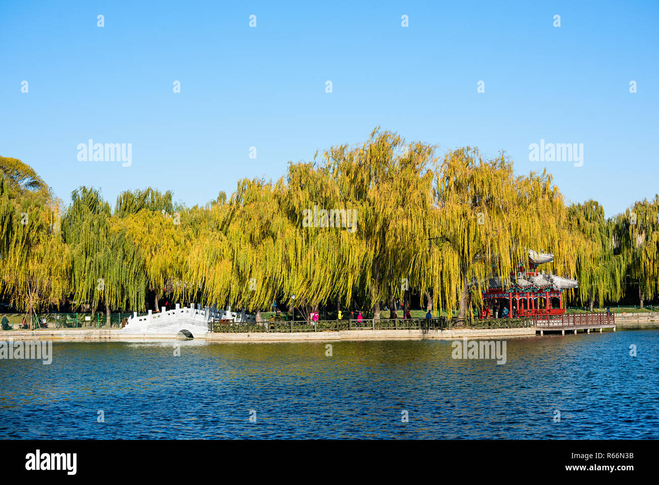 Scenery of autumn in a Chinese park, Beijing Stock Photo - Alamy