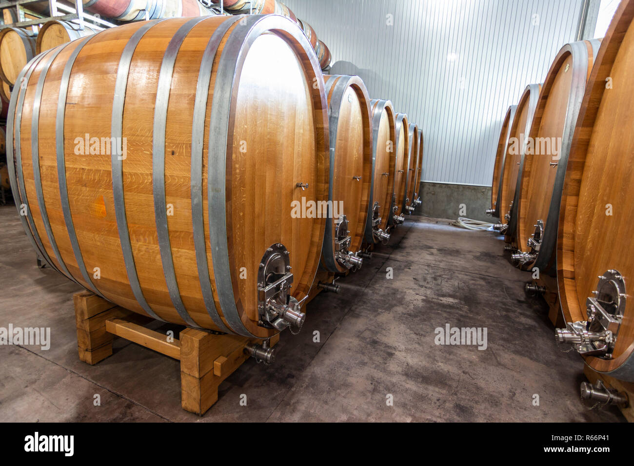 Chile is quite famous because of its amazing wine, here we can see big ...