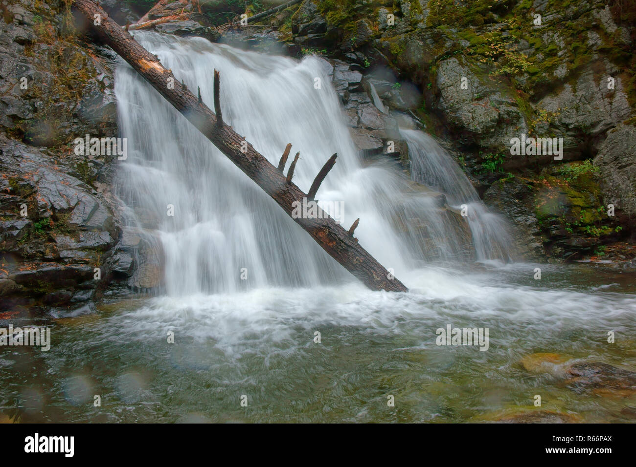 Rainbow Falls in Stehekin falls 312 feet to the Stehekin Valley floor ...