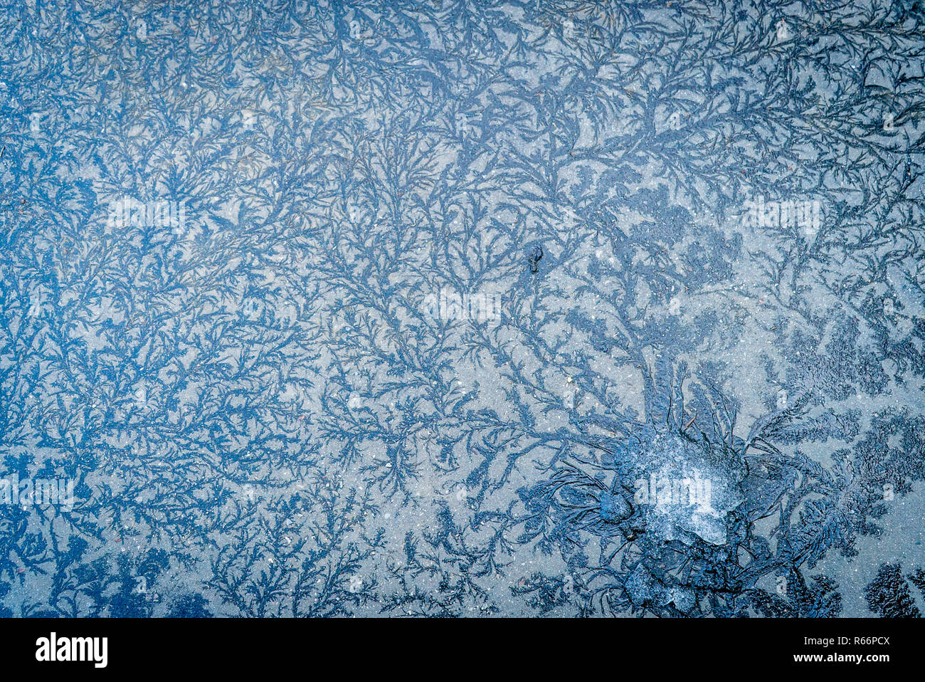 Conspicuous patterns hi-res stock photography and images - Alamy